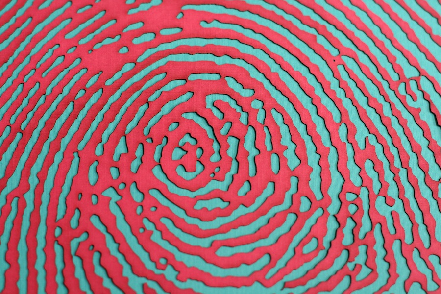 Identity Expression -- Custom art made from your fingerprint